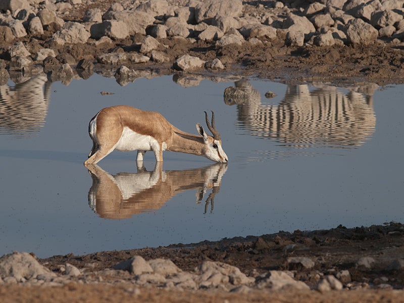 John Isaac: The Passion of a U.N. Photographer
