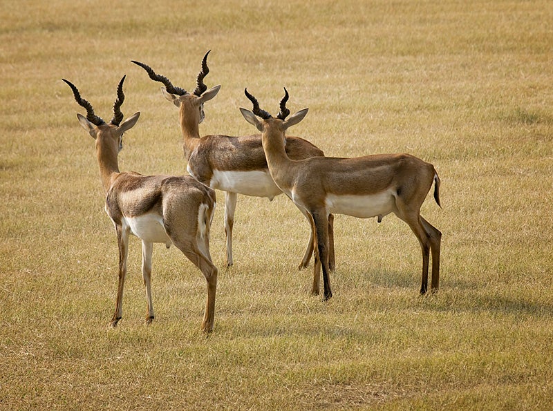John Isaac: The Passion of a U.N. Photographer