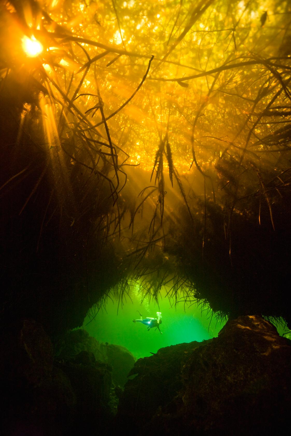 American Photo: 2010 Images of the Year | Popular Photography
