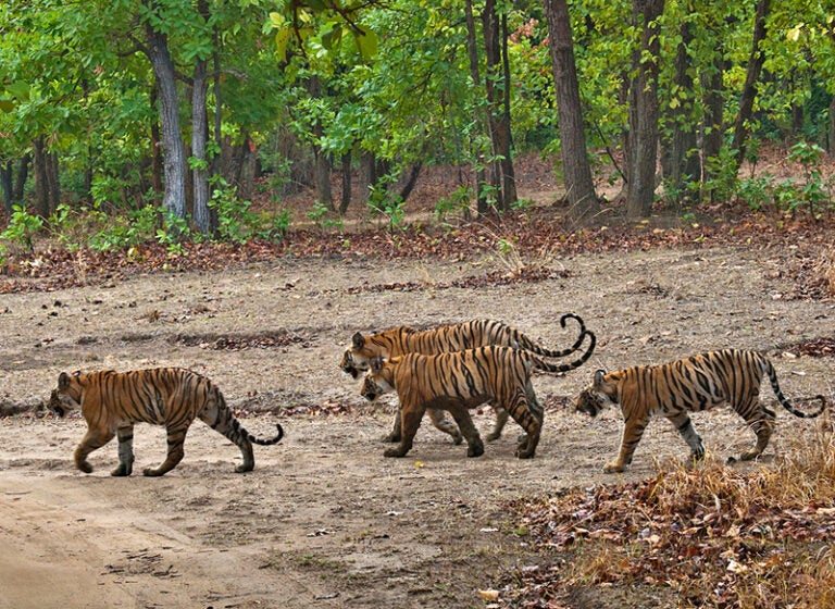 John Isaac: The Passion of a U.N. Photographer | Popular Photography