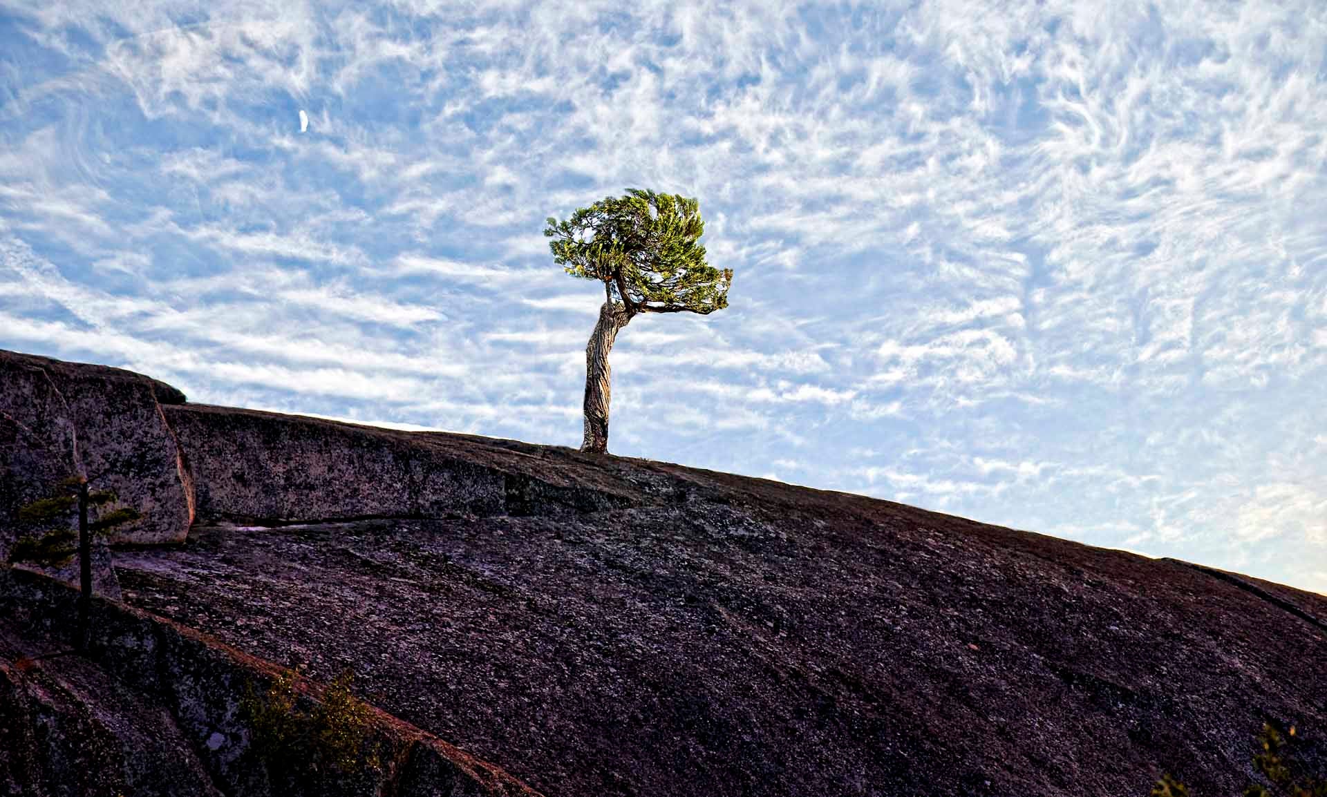 Reader Gallery: Tree Photography | Popular Photography