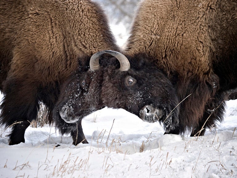 John Isaac: The Passion of a U.N. Photographer | Popular Photography