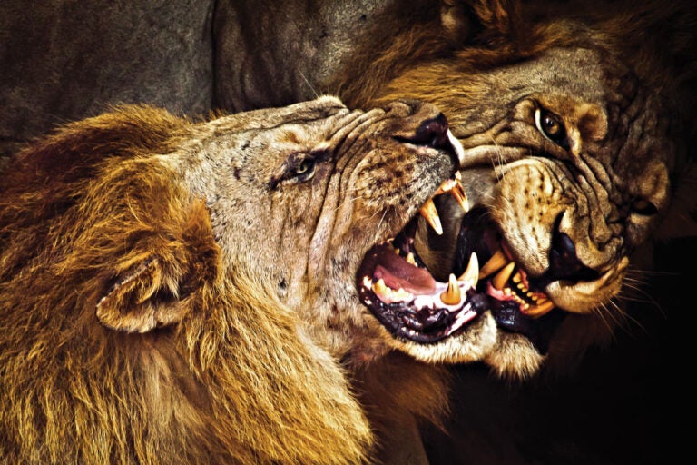 Your Best Shot: The Winners | Popular Photography