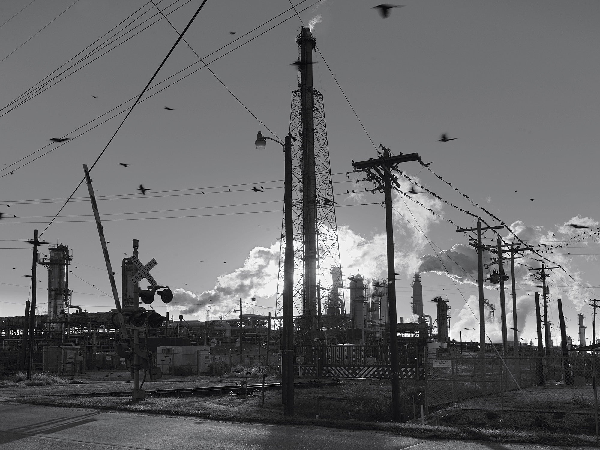 Alec Soth On Starting An Authentic Career in Photography | Popular ...