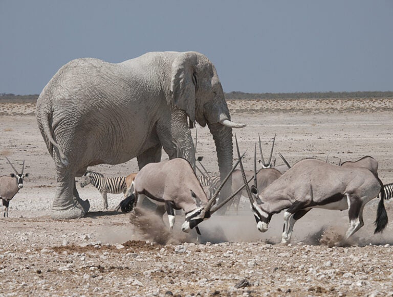 John Isaac: The Passion of a U.N. Photographer