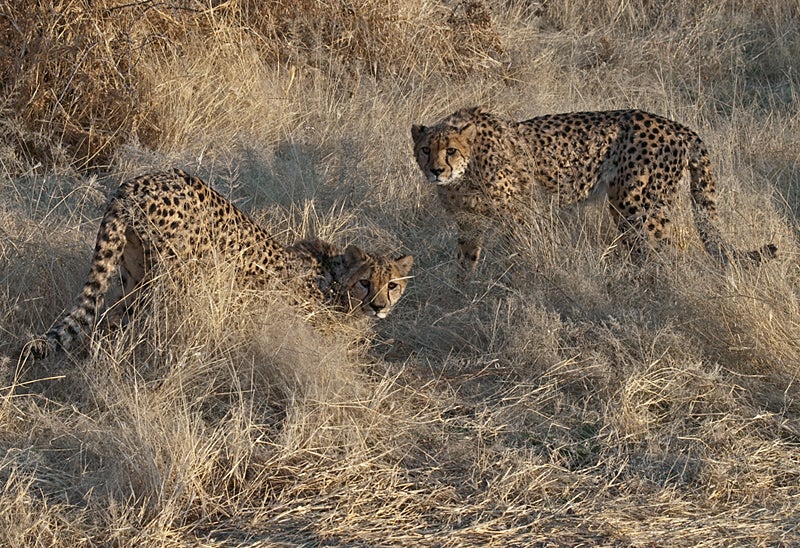 John Isaac: The Passion of a U.N. Photographer
