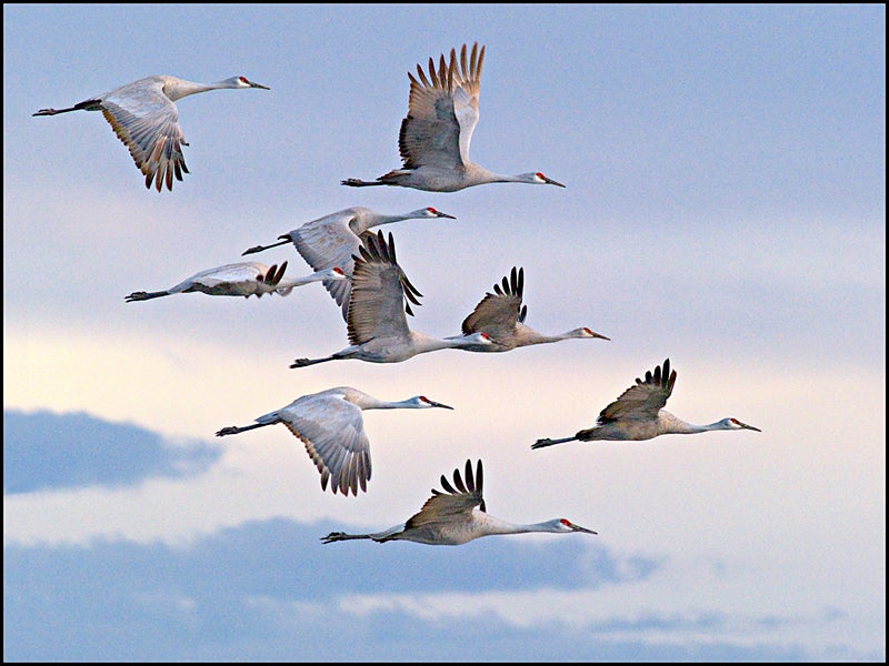 John Isaac: The Passion of a U.N. Photographer | Popular Photography