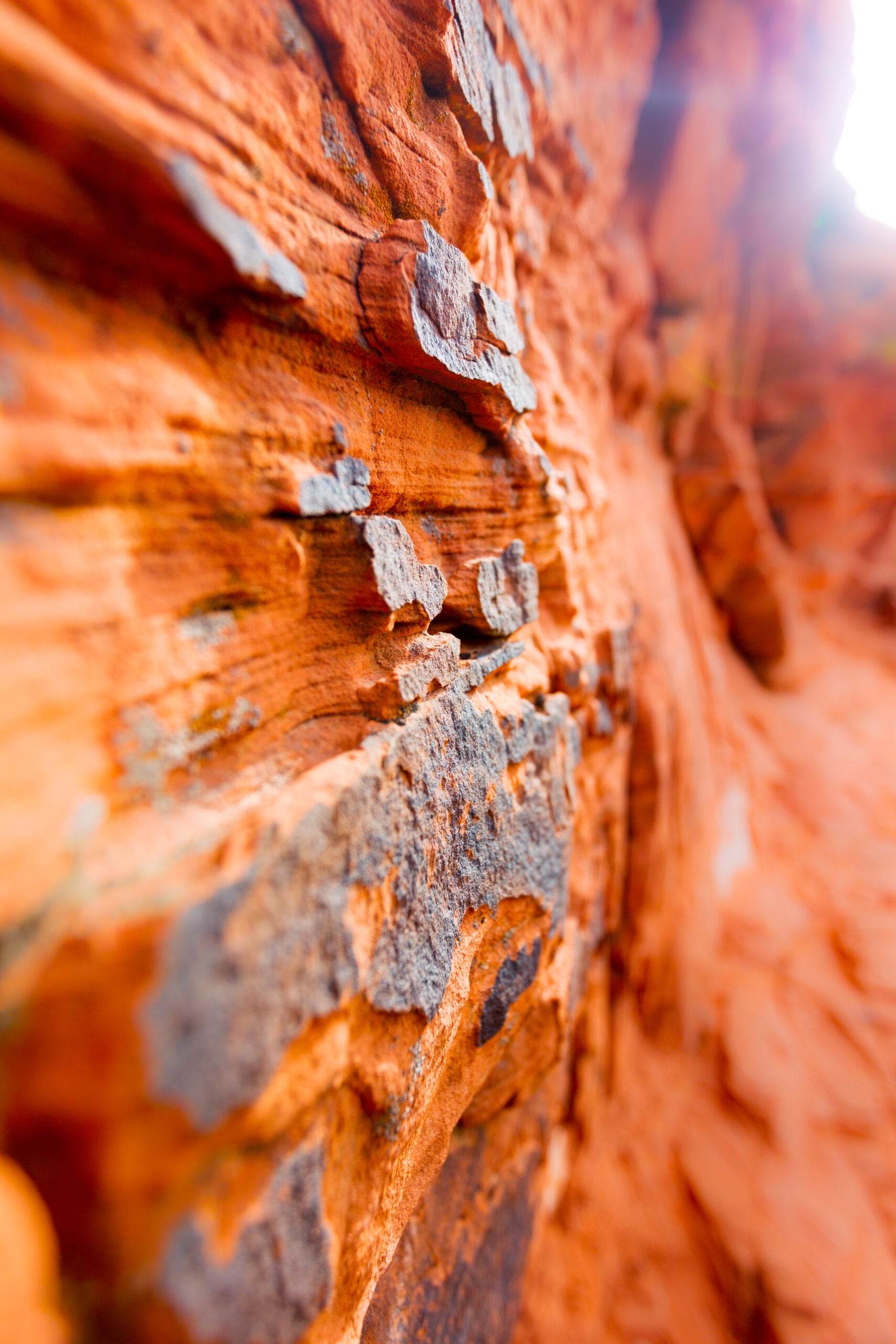 Your Best Shot Finalists: March 2015 | Popular Photography