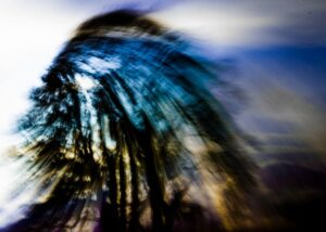 Reader Gallery: 35 Examples of Photos With Effective Motion Blur
