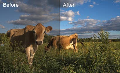 Digital Toolbox: Secrets of Elements | Popular Photography