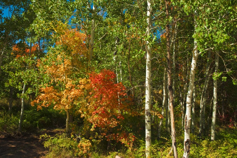 How To Take Great Fall Photographs | Popular Photography