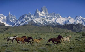 Transcending Nature: A Tribute to Galen Rowell | Popular Photography