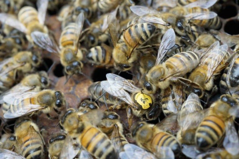 Sample Image Gallery: Sony A99 | Popular Photography