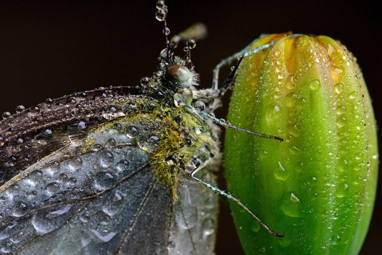 The Best Reader Photos of the Month: October 2016 | Popular Photography