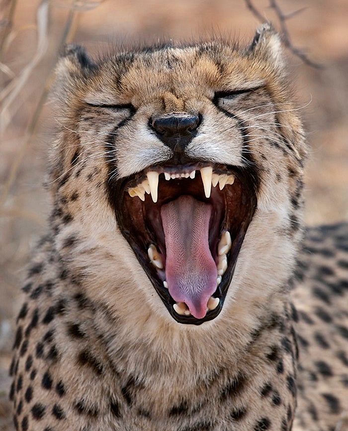 John Isaac: The Passion of a U.N. Photographer