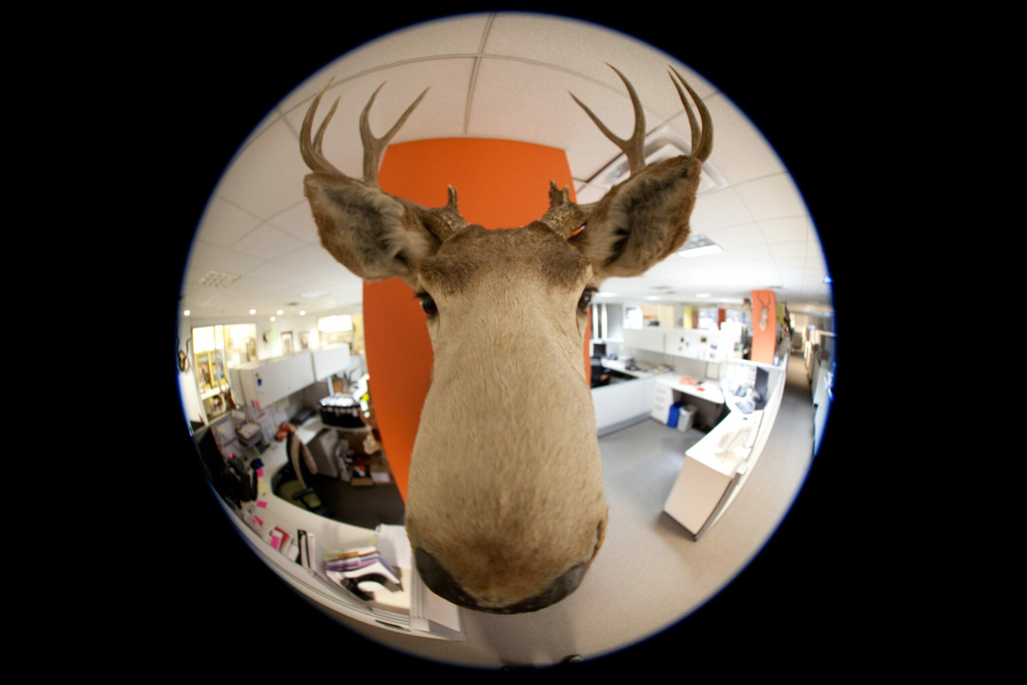 How To: Exaggerate Curves Using a Fisheye Lens | Popular Photography
