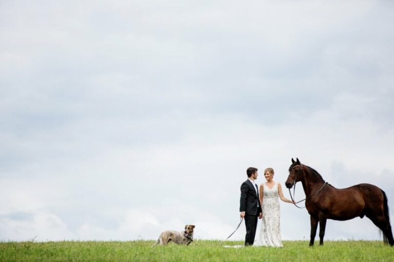 How-To: Include Pets In Wedding and Engagement Portraits | Popular ...