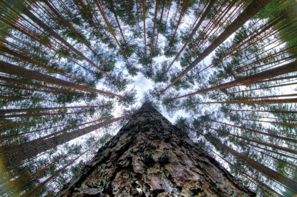 Tips from a Pro: A New Perspective on Nature Photography | Popular ...