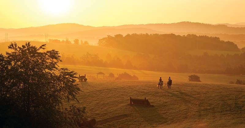 How To: Capture the Beauty of Early-Morning Light | Popular Photography
