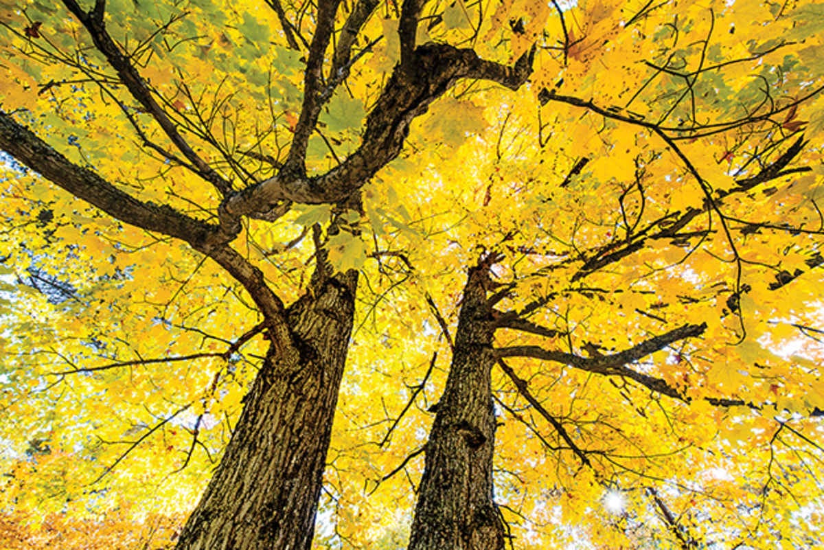 How To Make The Most Of Your Fall Photography | Popular Photography