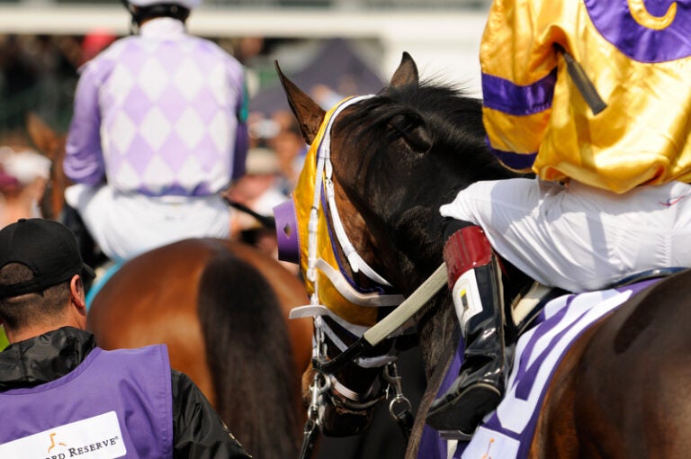 I, Photographer: Sam English Photographs Horses | Popular Photography