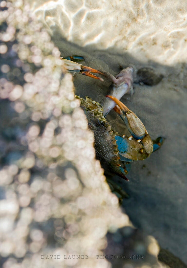 Your Best Shot Gallery: August 2016