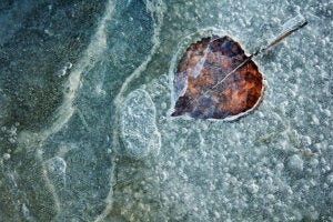 9 Tips for Dramatic Ice Photos | Popular Photography