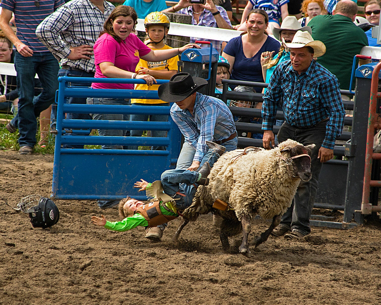 2015 Readers' Photo Contest Gallery: Winners and Finalists