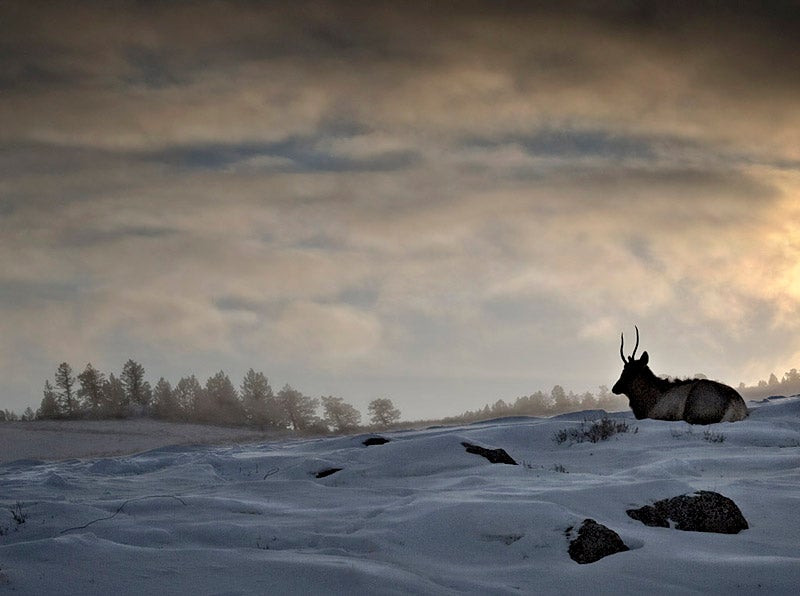 John Isaac: The Passion of a U.N. Photographer | Popular Photography