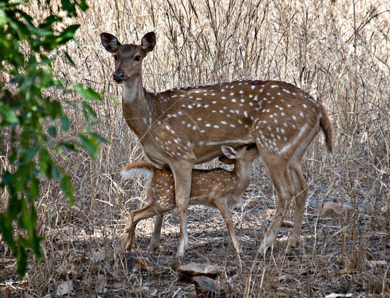 John Isaac: The Passion of a U.N. Photographer | Popular Photography