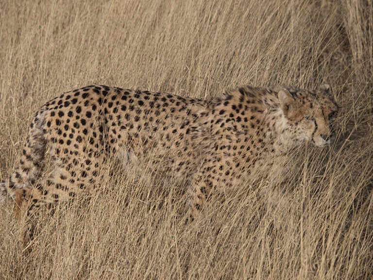 John Isaac: The Passion of a U.N. Photographer