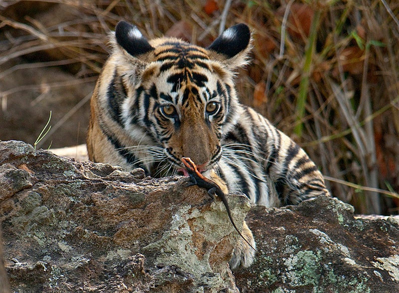 John Isaac: The Passion of a U.N. Photographer