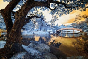 Tips for Getting Started in Infrared Photography | Popular Photography