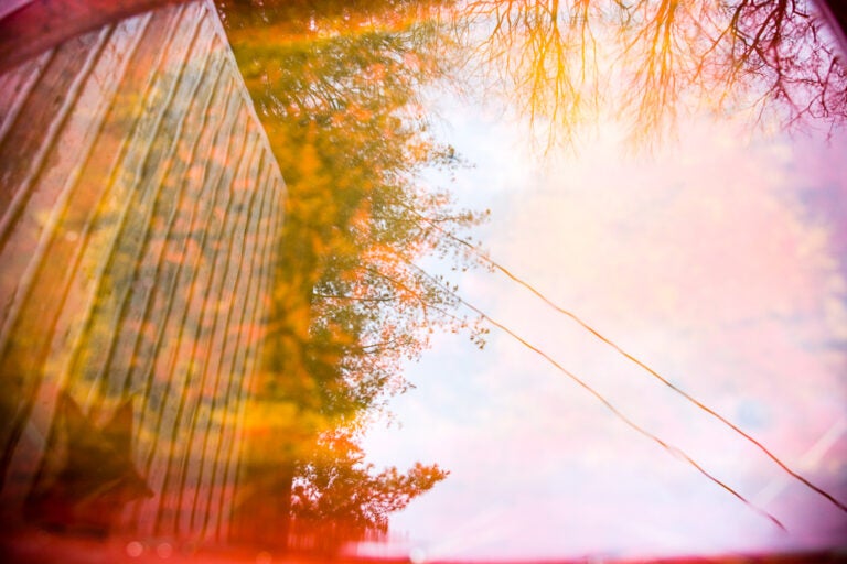 Tips For Better Reflections In Your Photography | Popular Photography