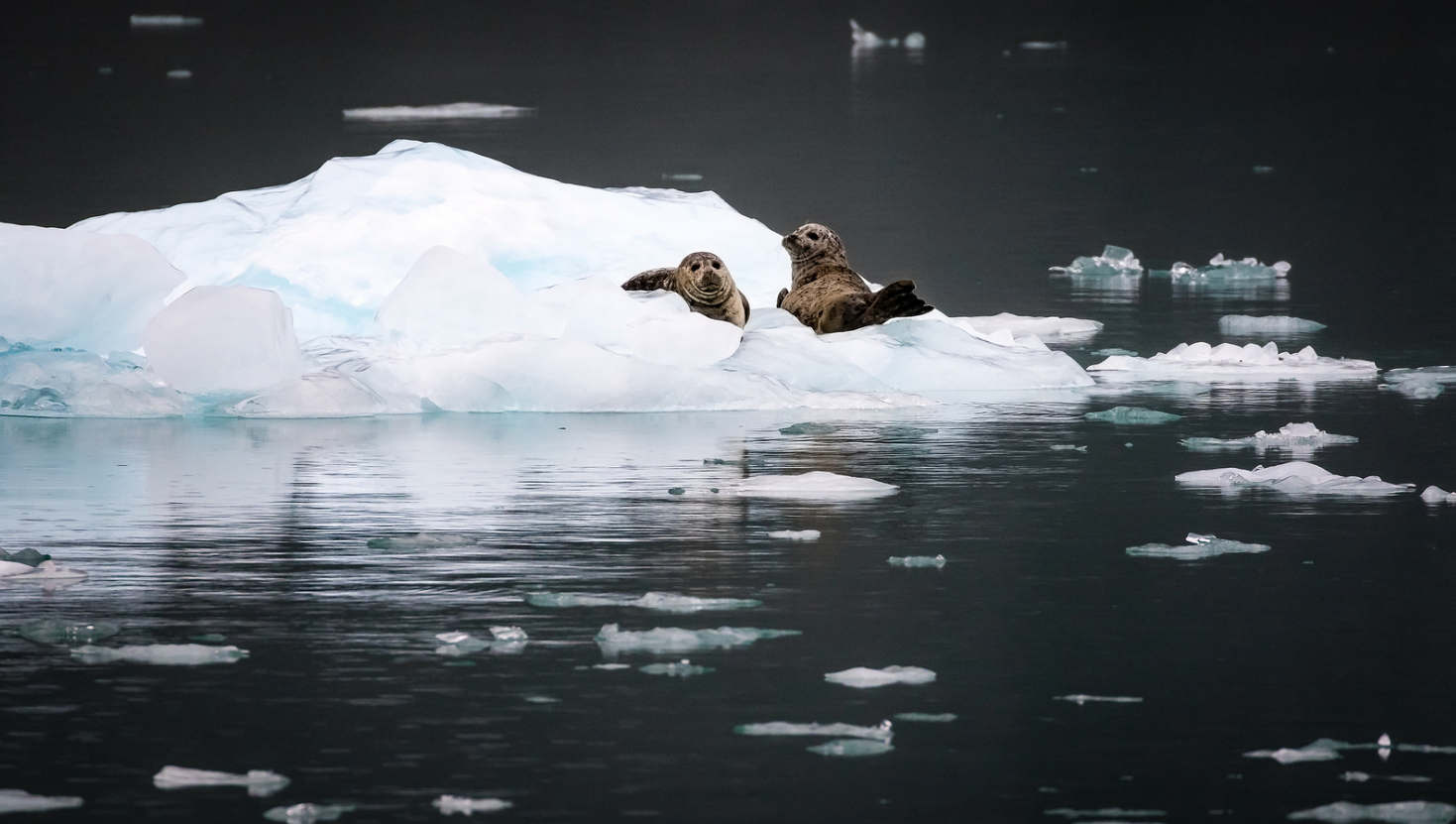 August 2016 | Popular Photography