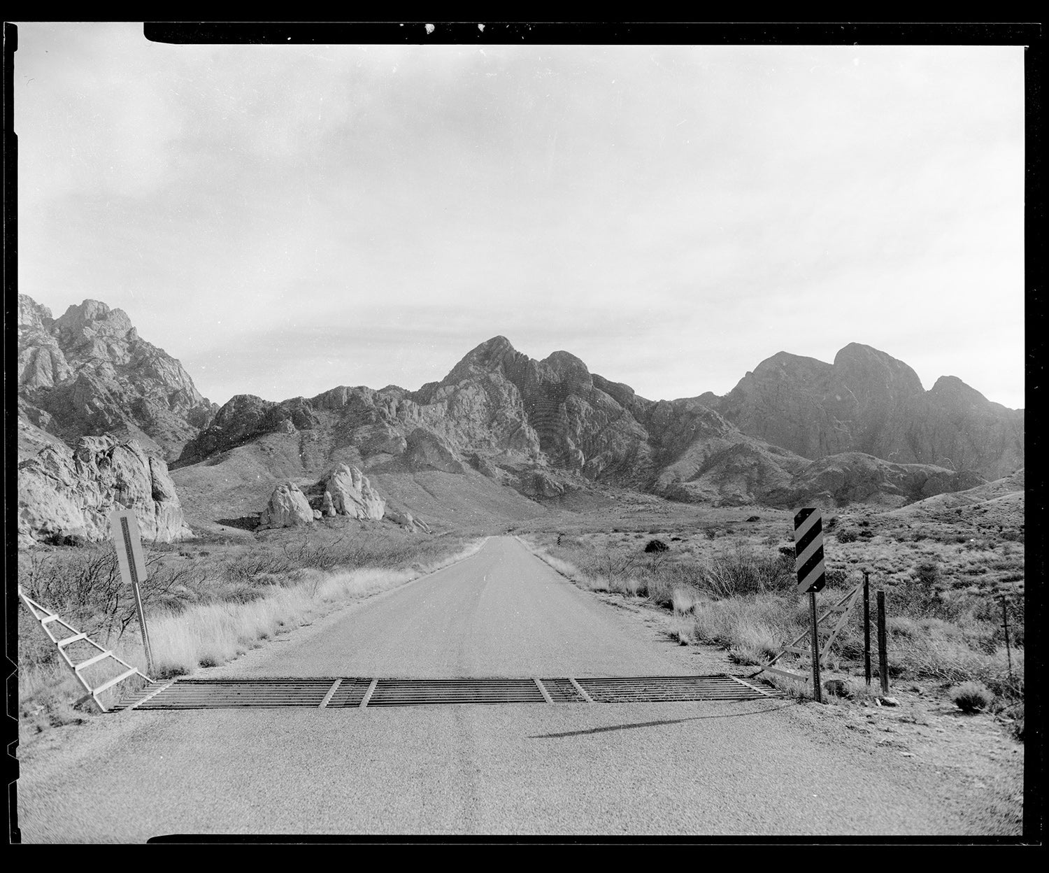 The Cameradactyl OG 4x5 hand camera is a cheap, fun way to try out 4x5 ...