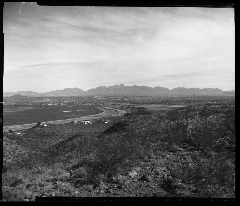 The Cameradactyl OG 4x5 hand camera is a cheap, fun way to try out 4x5 ...