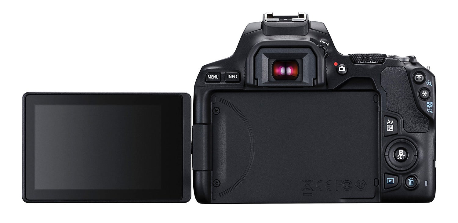 The EOS Rebel SL3 is the smallest and lightest DSLR ever | Popular ...