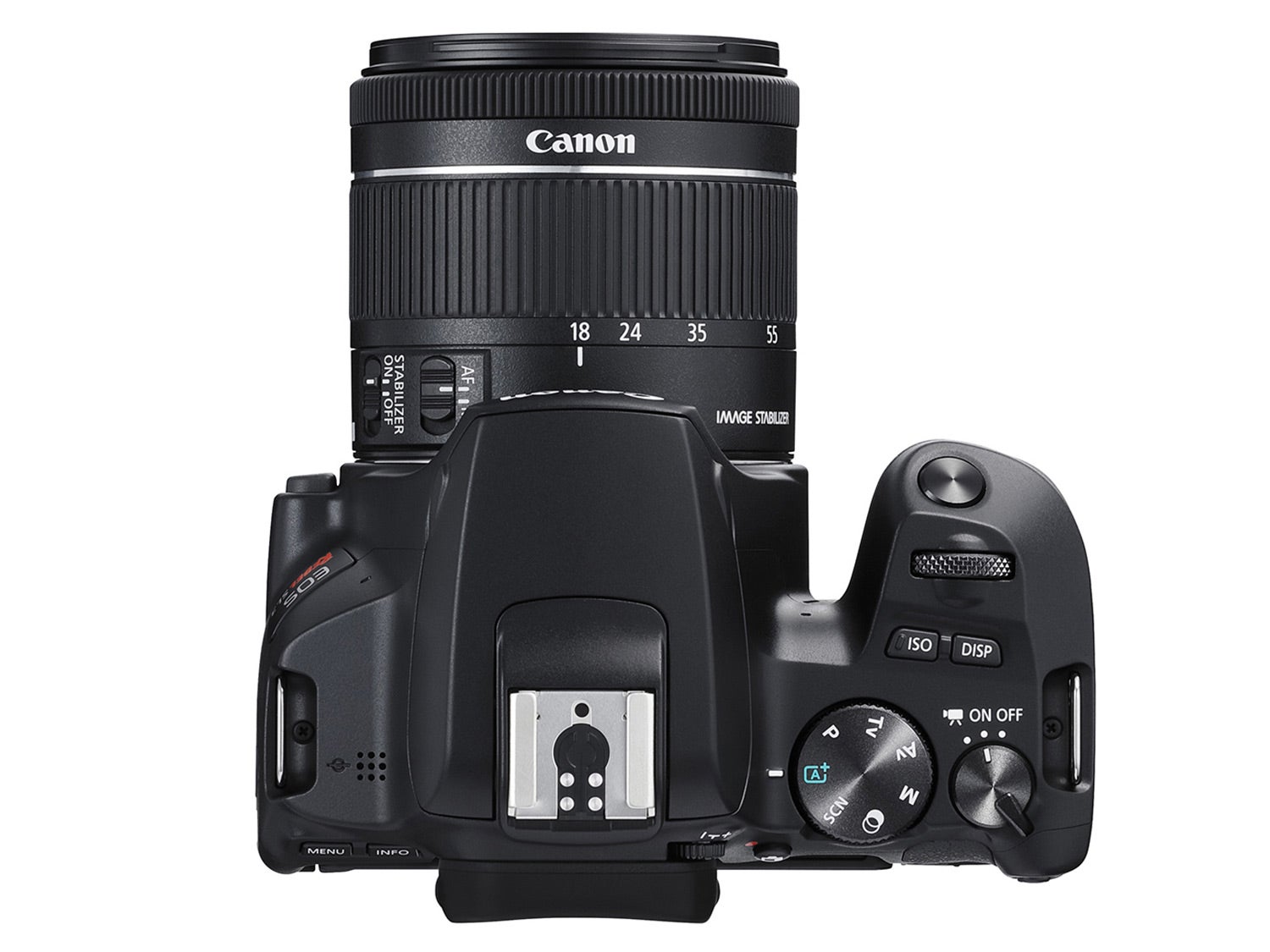 The EOS Rebel SL3 is the smallest and lightest DSLR ever | Popular ...