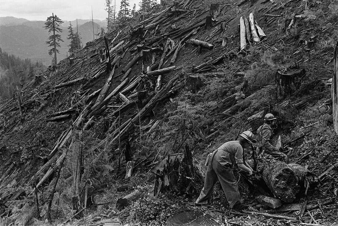 The Larry Fink You Haven’t Met Before | Popular Photography