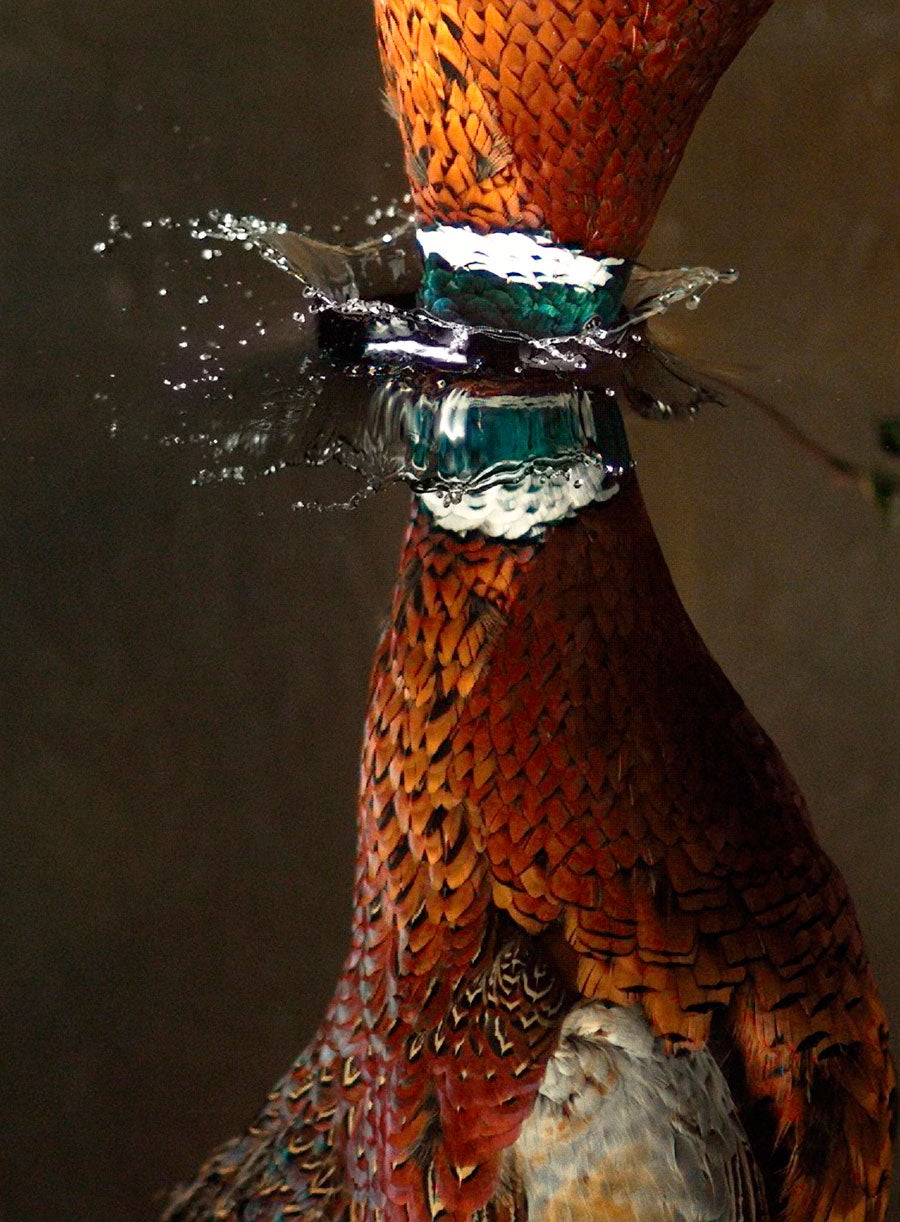 On the Wall: Ori Gersht's Haunting Lives, Still and Otherwise