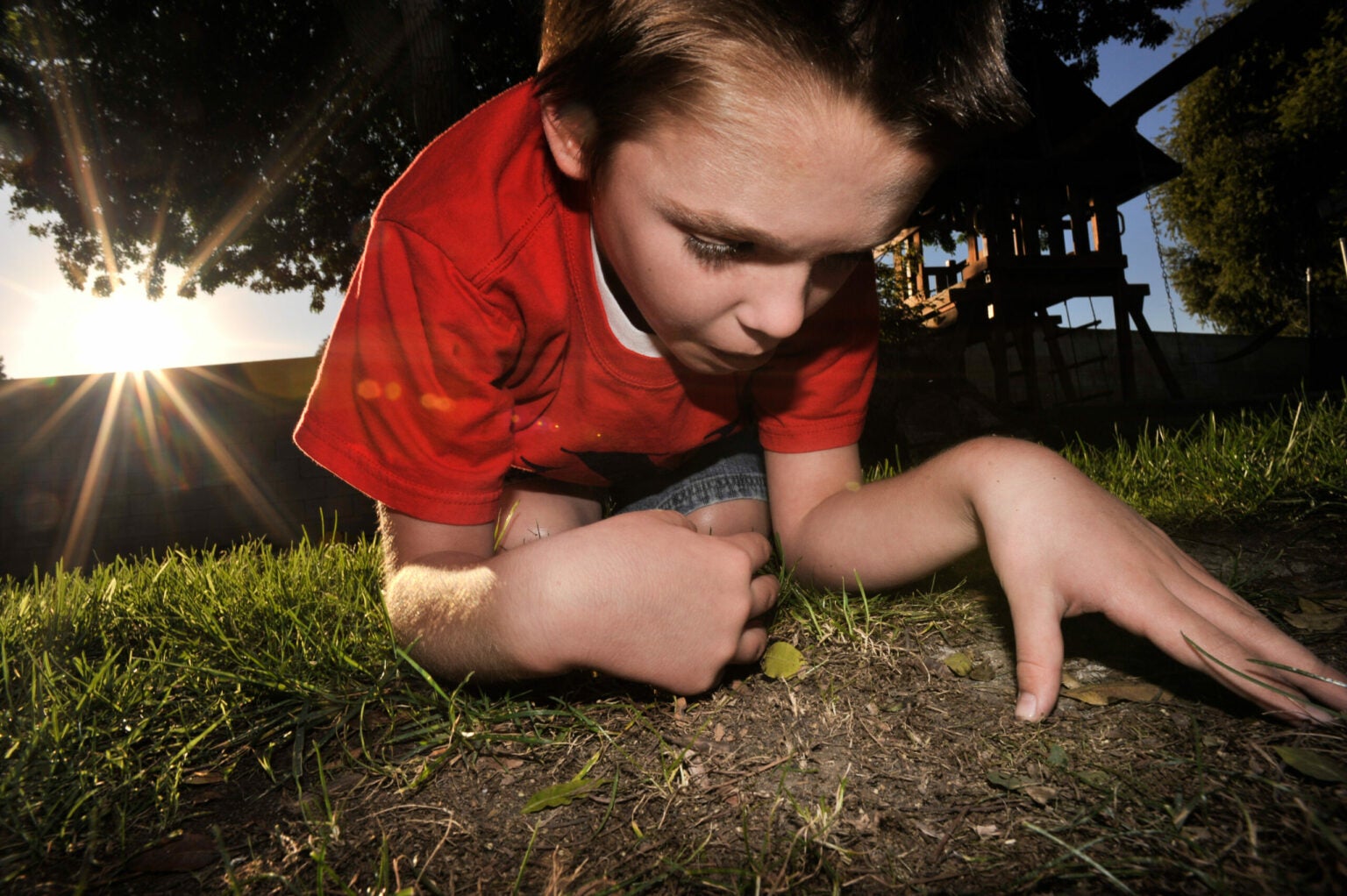 Blind Photography: The Heart of the Medium