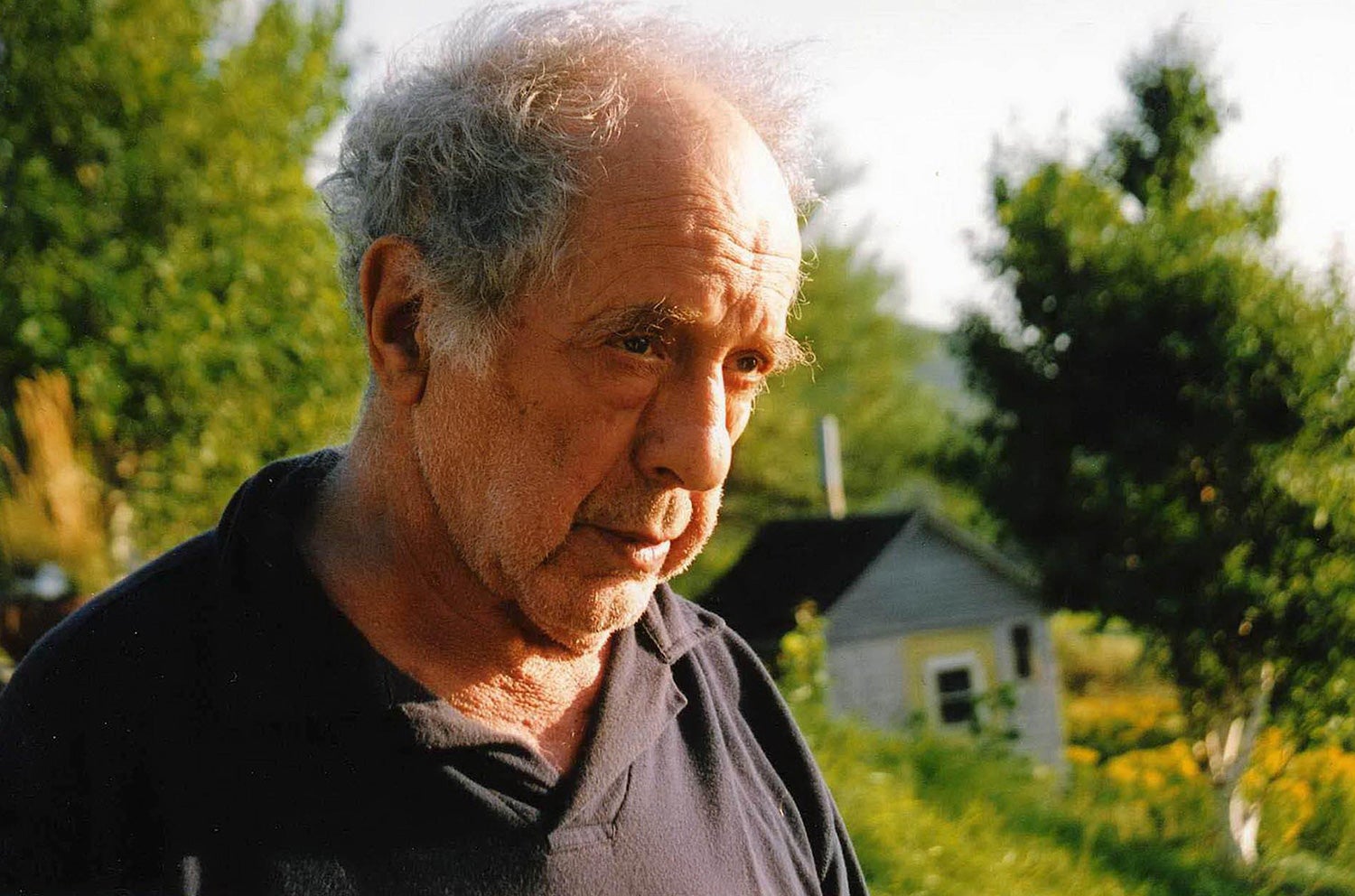 Capturing Robert Frank in a pre-gentrified New York City and the Nova ...