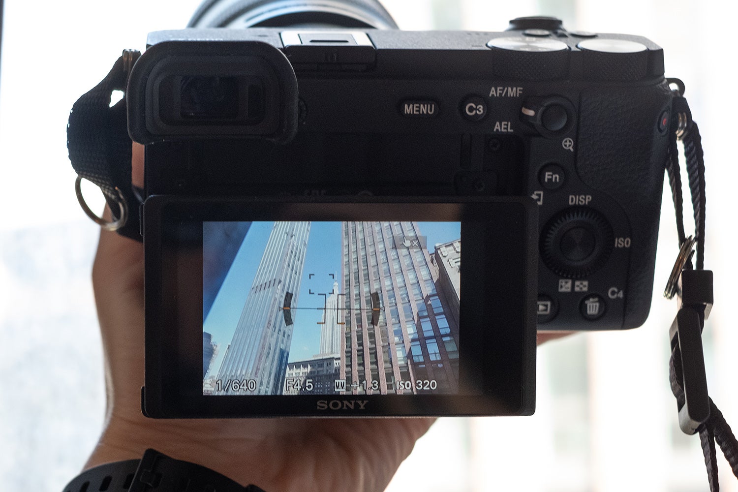 Hands on with the Sony a6600, plus sample images | Popular Photography