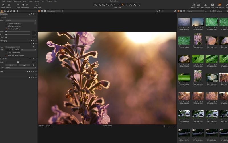 The best photo editing software for Macs in 2023 | Popular Photography