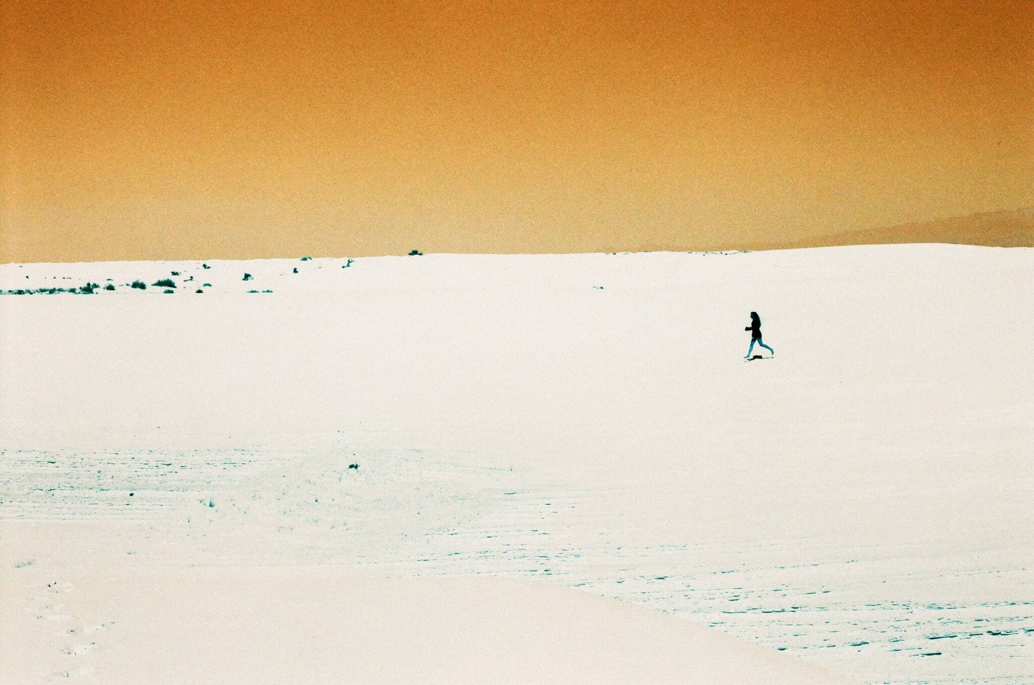 Lomography to revive LomoChrome Turquoise Film | Popular Photography