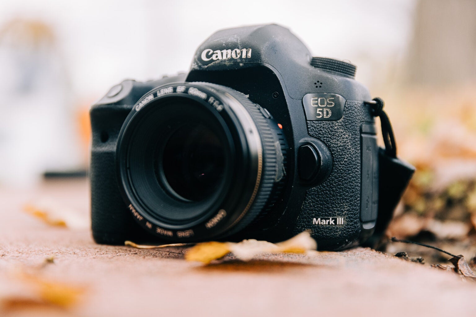 The best used cameras to buy right now | Popular Photography