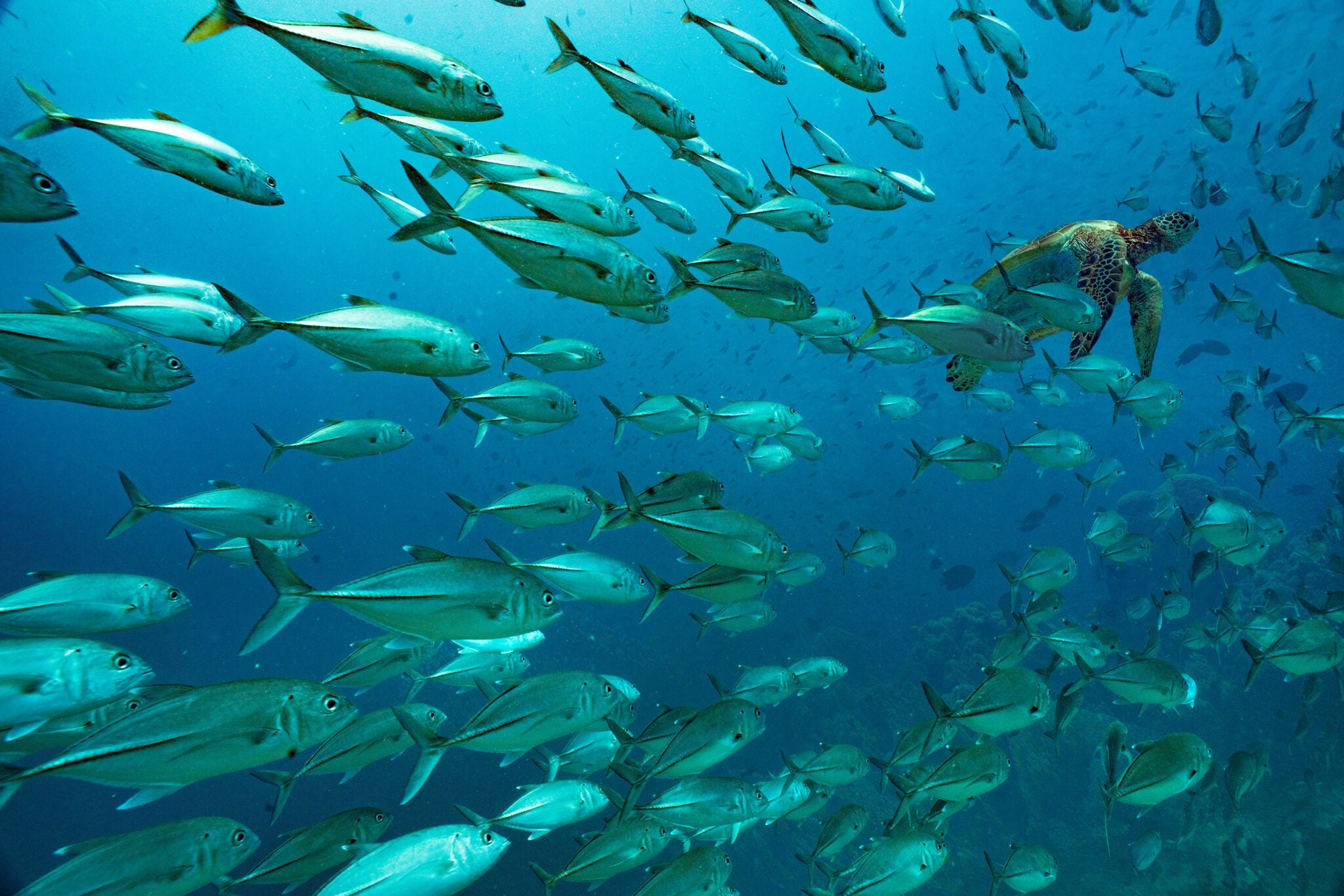 10 photographers on what PopPhoto meant to them | Popular Photography