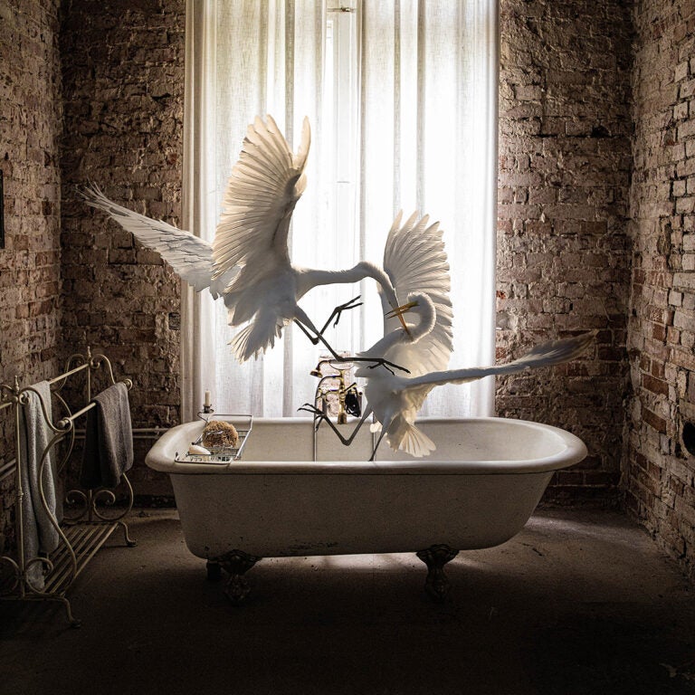 2021 Chromatic Photography Award winners | Popular Photography