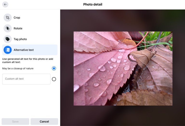 How to use AI to tag and organize your photo library | Popular Photography